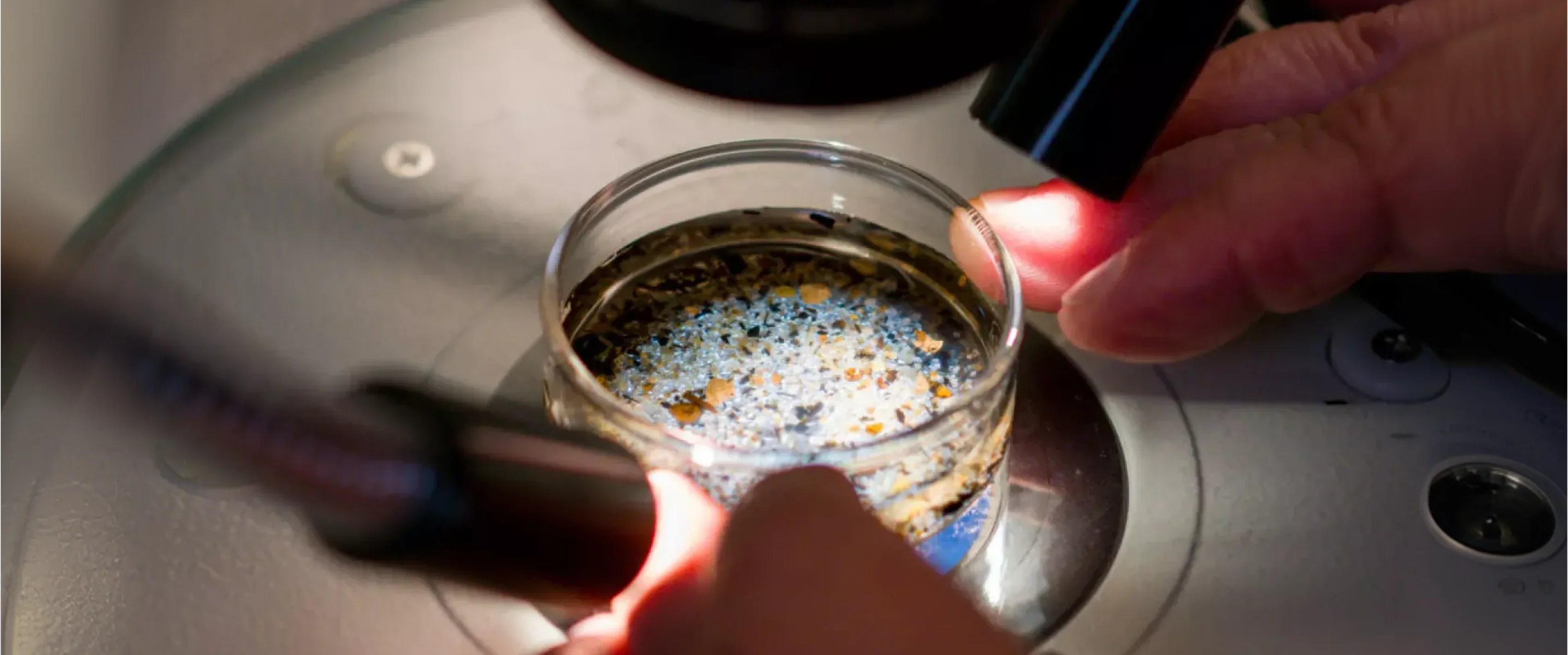 What Are Microplastics and Why Are They Harmful? – Fileder Filter ...